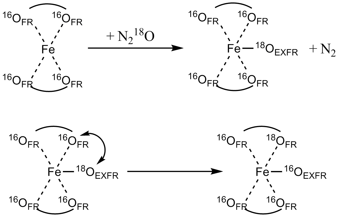 Our DFT calculations[ 44 ]yielded detailed reaction mechanisms of the ...